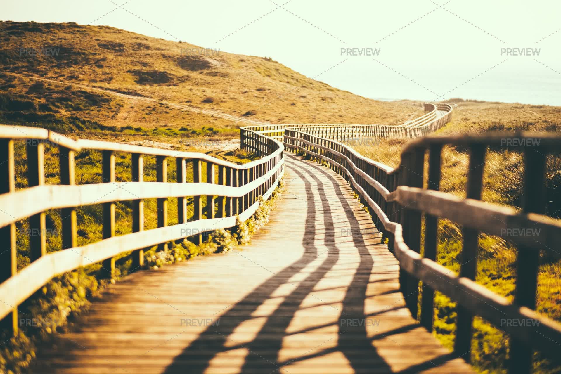 An Empty Wood Path - Stock Photos | Motion Array An Empty Wood Path - Stock Photos | Motion Array