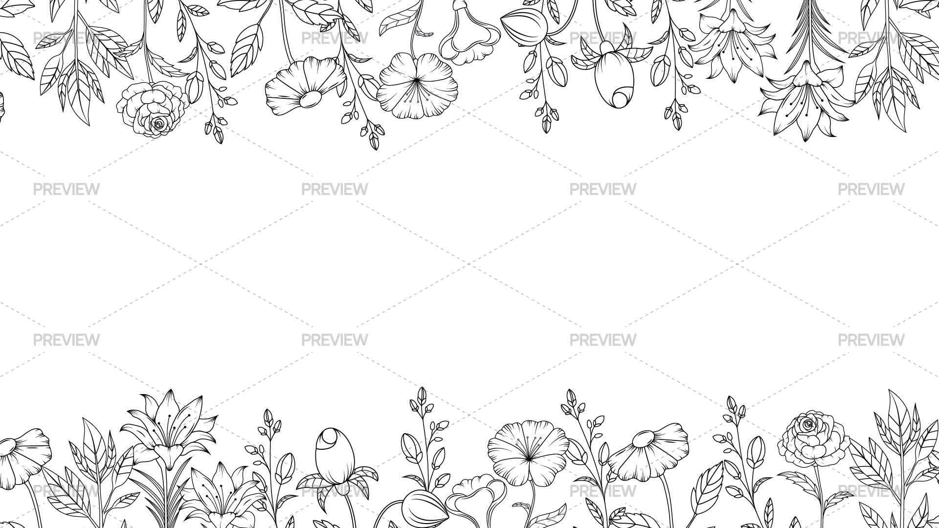 Hand Drawn Flowers Graphics Motion Array